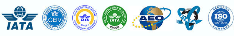 X2 Logistics Networks